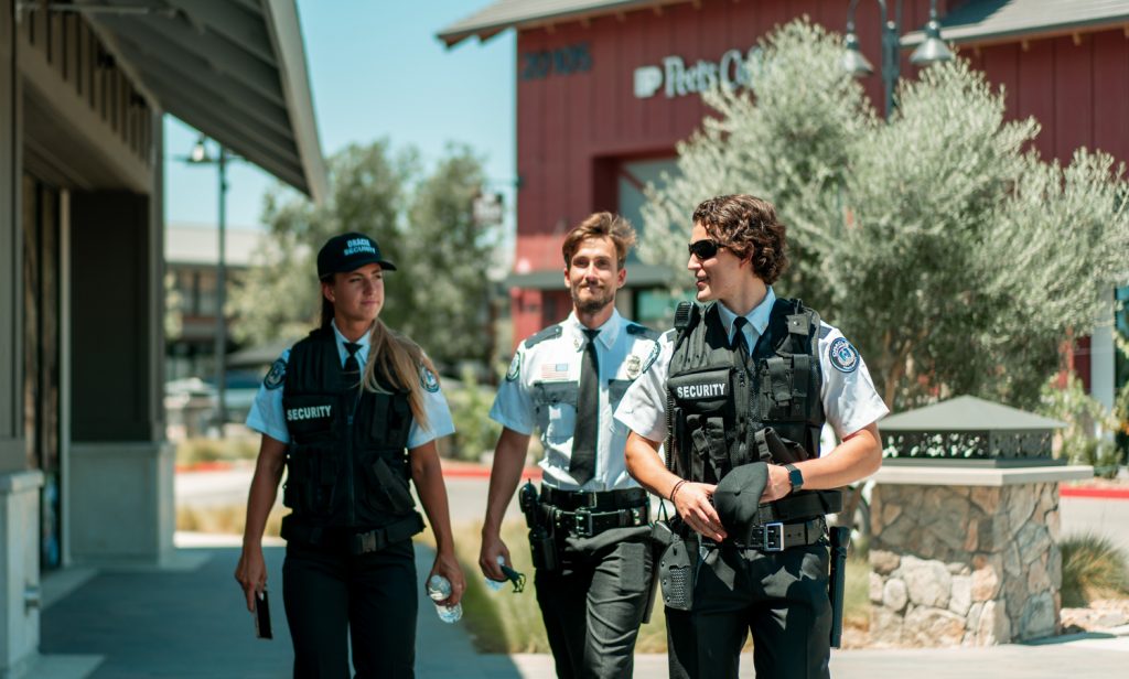 Oracle Security provides the breakdown of why security is essential: